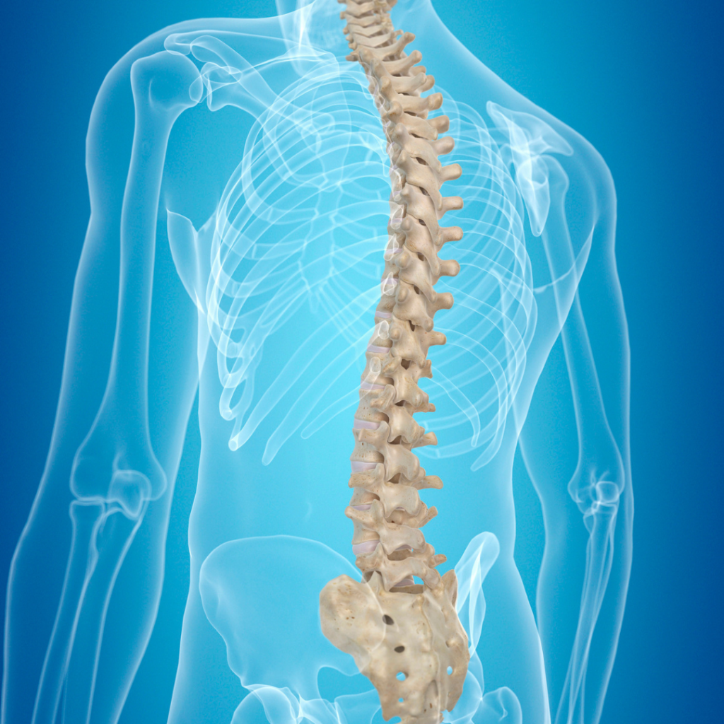 Cauda Equina Syndrome | Back on Track PT